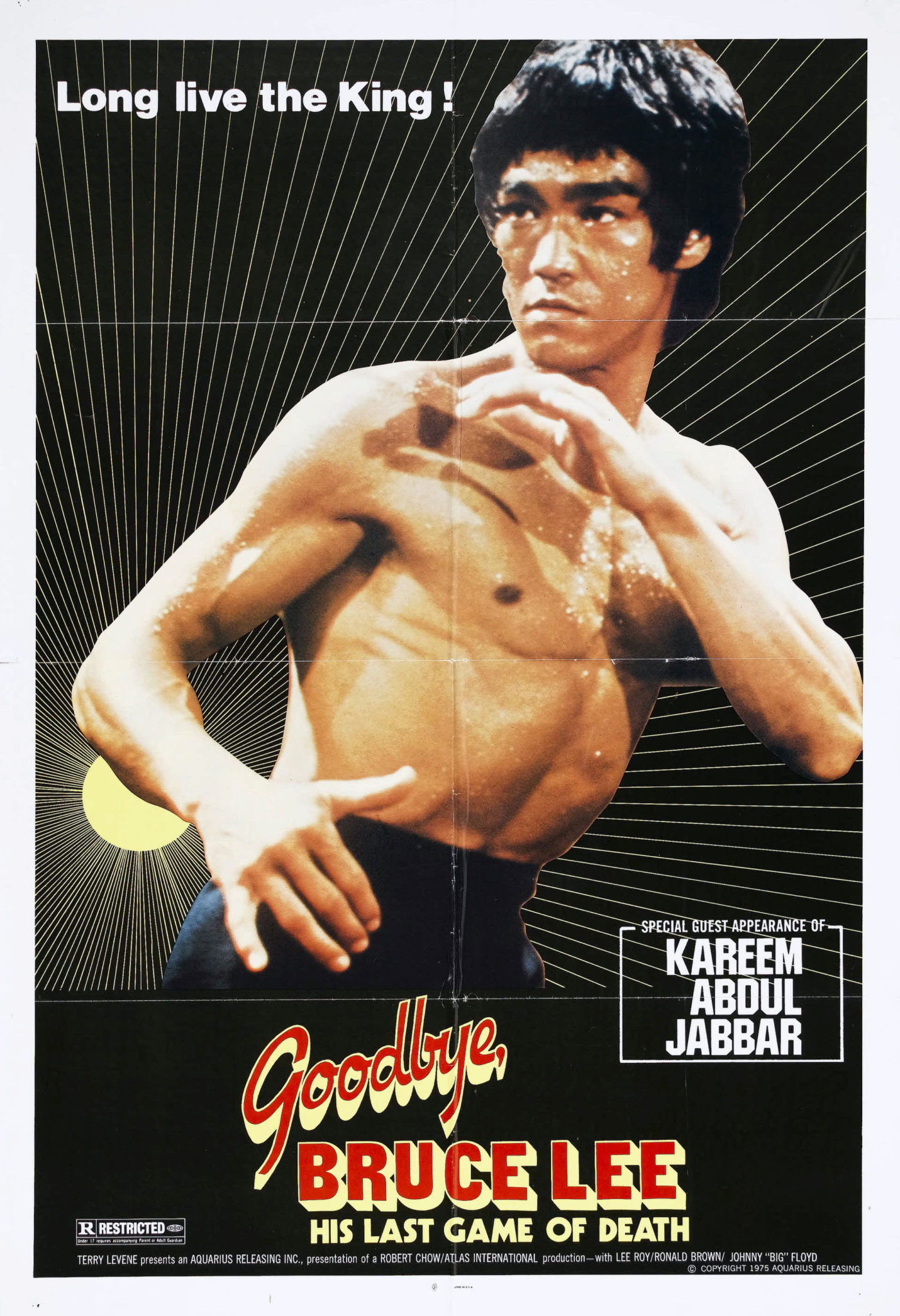 New Game of Death | aka Goodbye Bruce Lee: His Last Game of Death (1975 ...